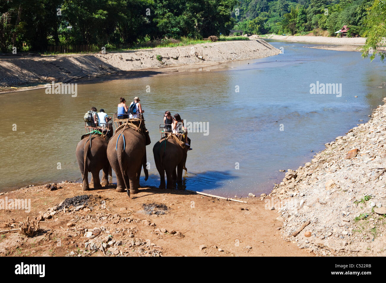 Elephant Ride in Northern Thailand Stock Photo - Alamy