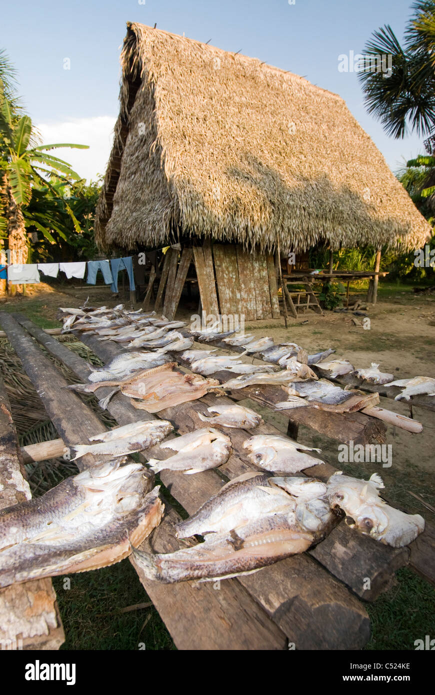 Native american diet hi-res stock photography and images - Alamy