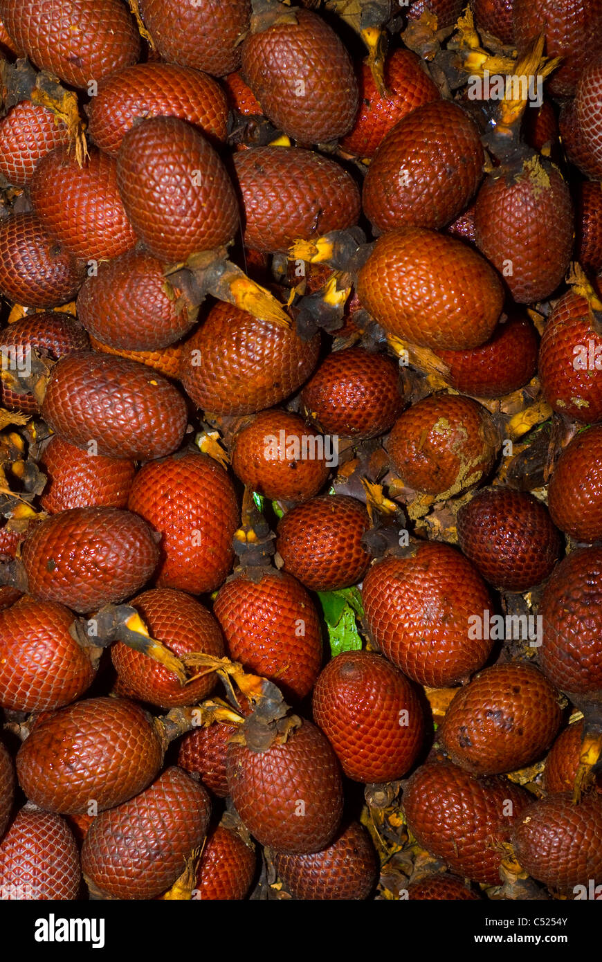 Rainforest fruits High Resolution Stock Photography and Images - Alamy