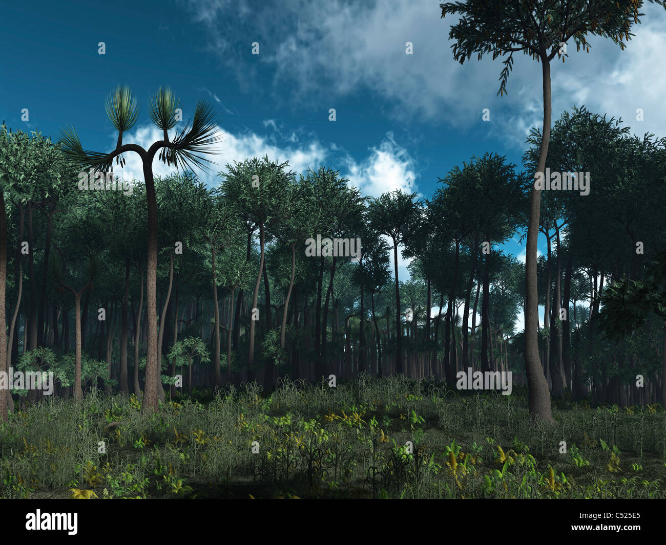 A Carboniferous forest of Midwestern North America 350 million years ...