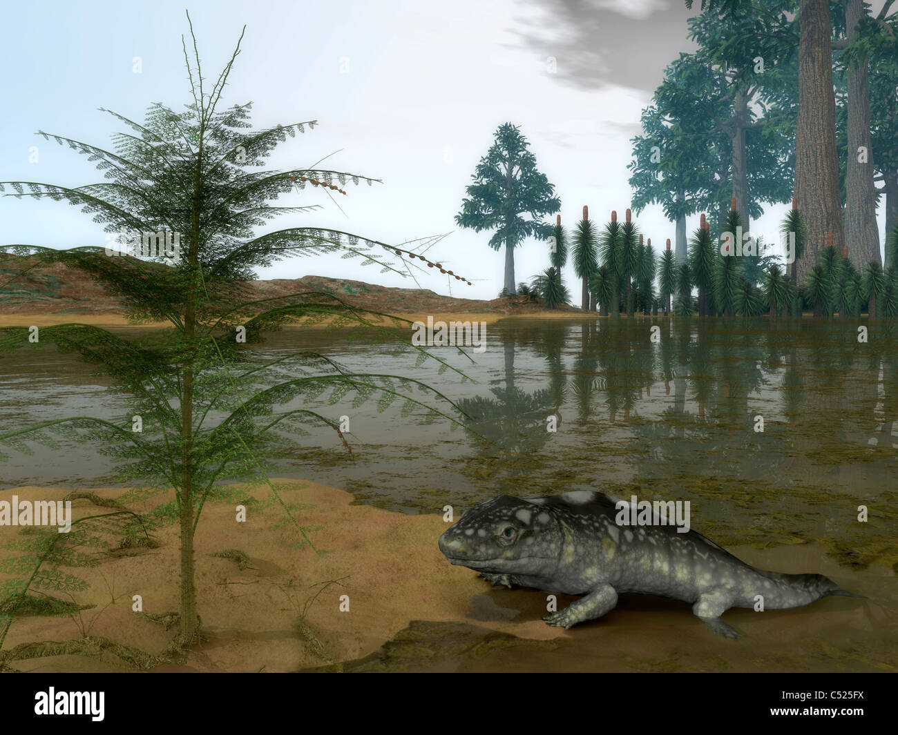 Devonian animals hi-res stock photography and images - Alamy