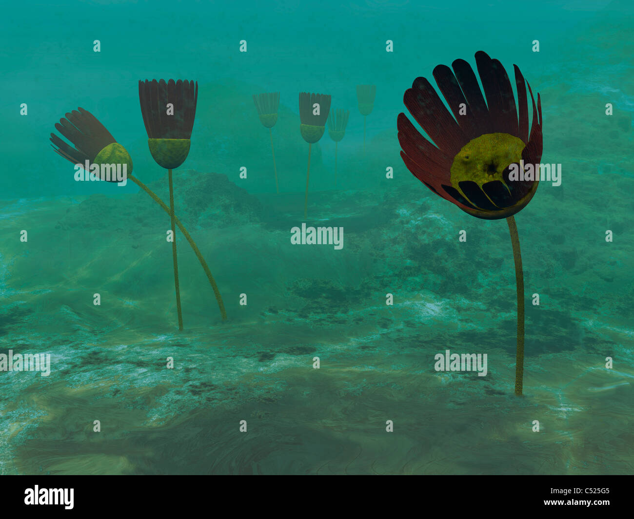 Burgess shale hi-res stock photography and images - Alamy