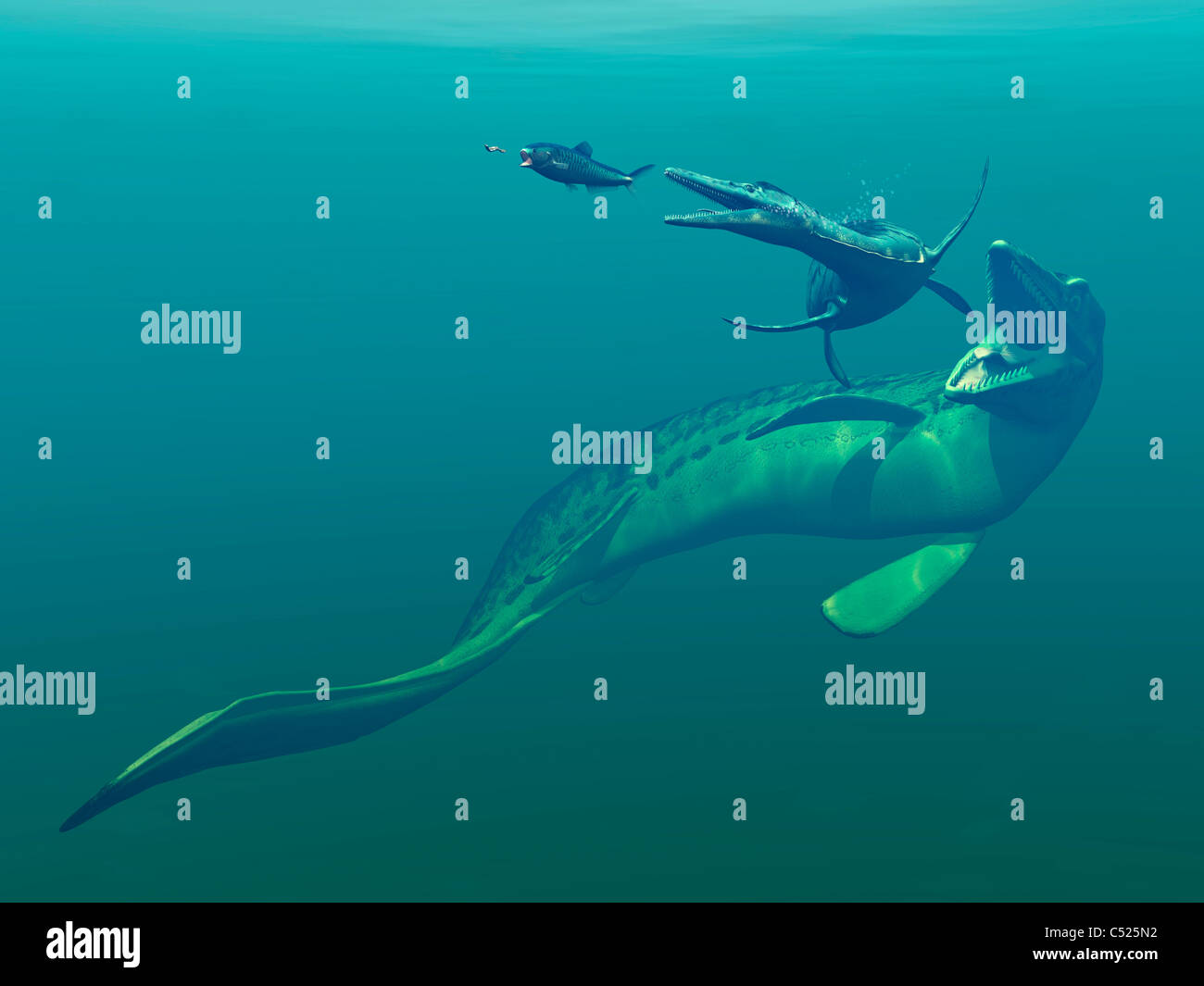 Cretaceous period fish hi-res stock photography and images - Alamy