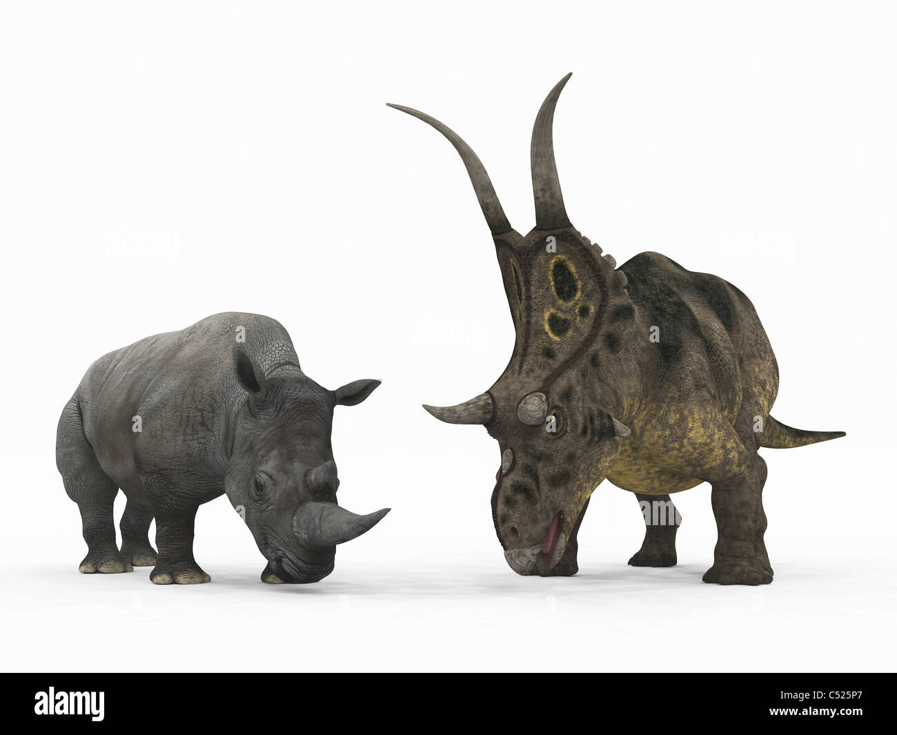 Rhino Vs Triceratops
