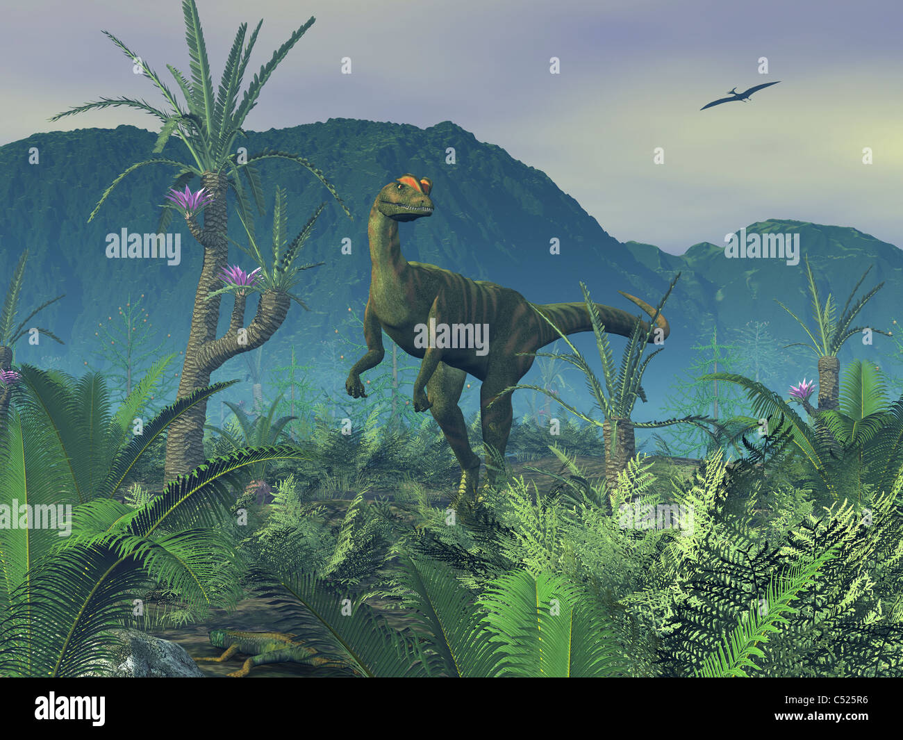 A colorful adult male Dilophosaurus explores a hilltop Stock Photo - Alamy