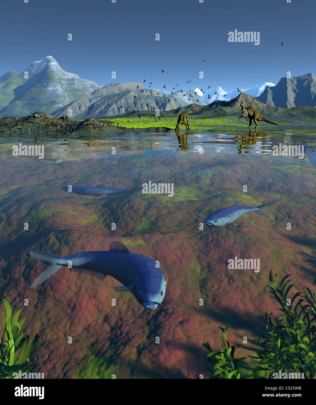 Fanged Enchodus predatory fish from the late Cretaceous period Stock ...