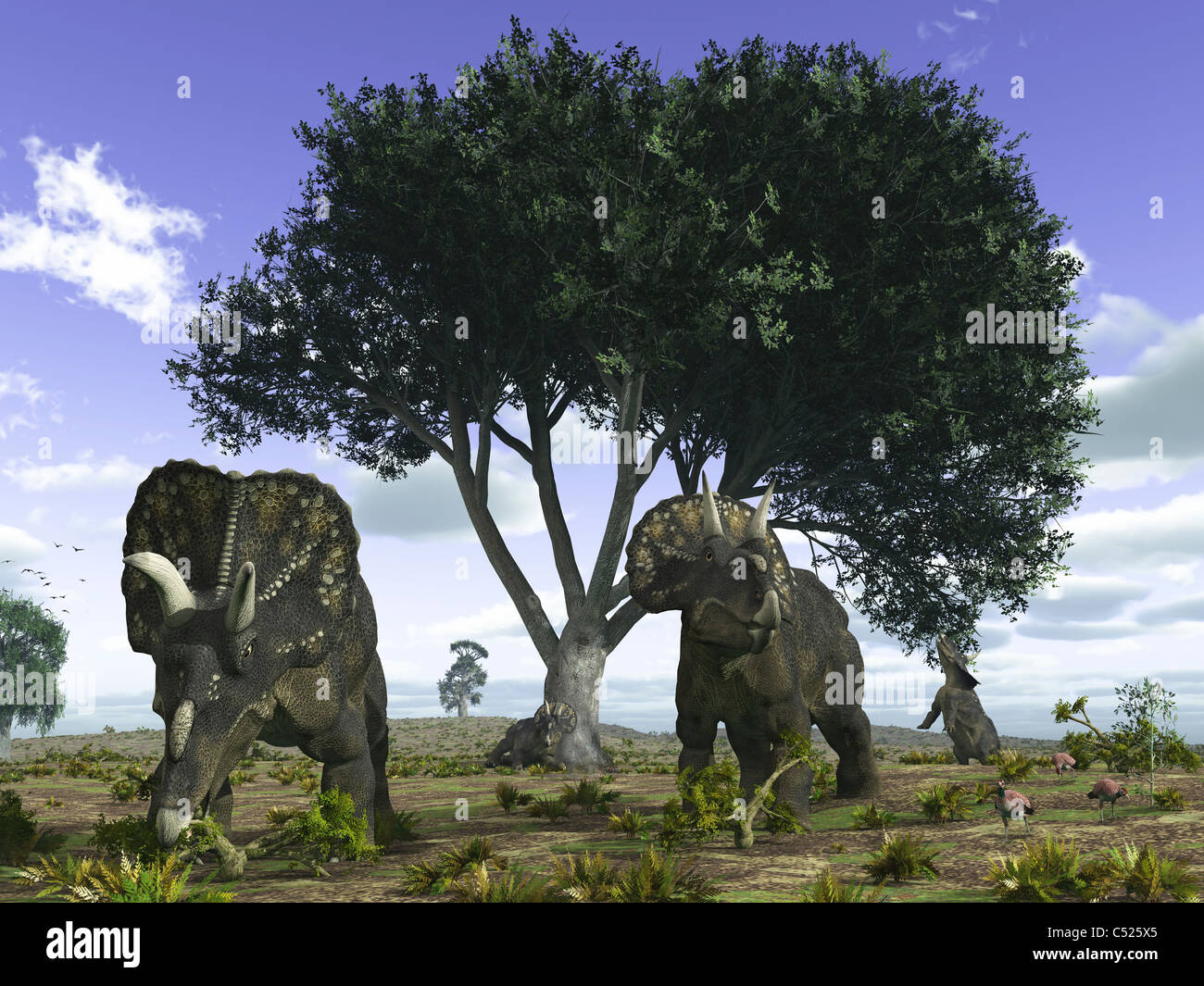 Avisaurus hi-res stock photography and images - Alamy