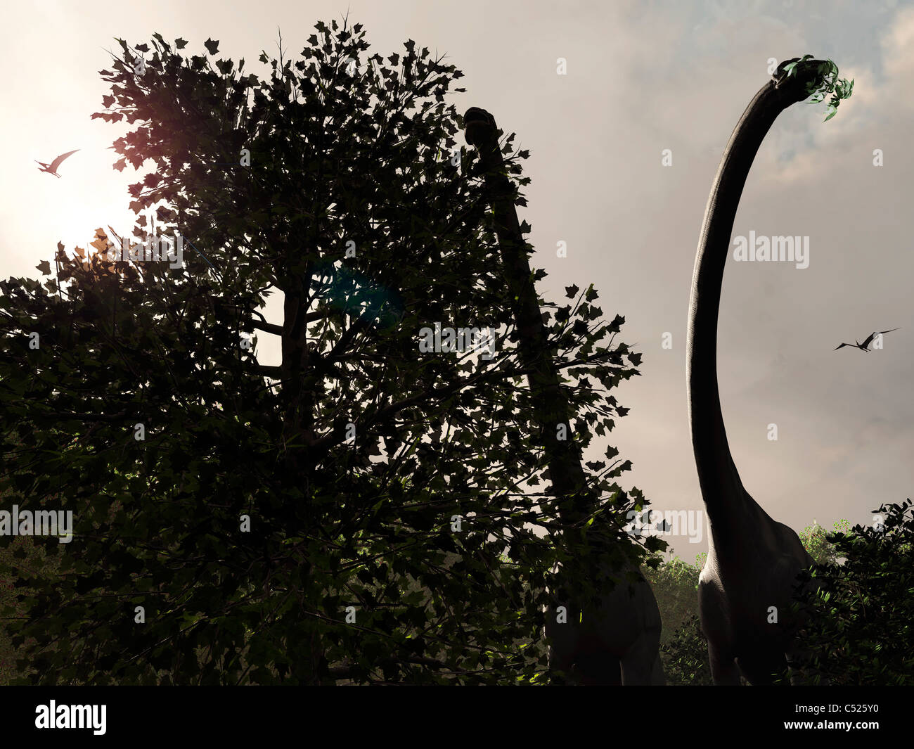 Mesozoic era sauropod saurischia hi-res stock photography and images ...