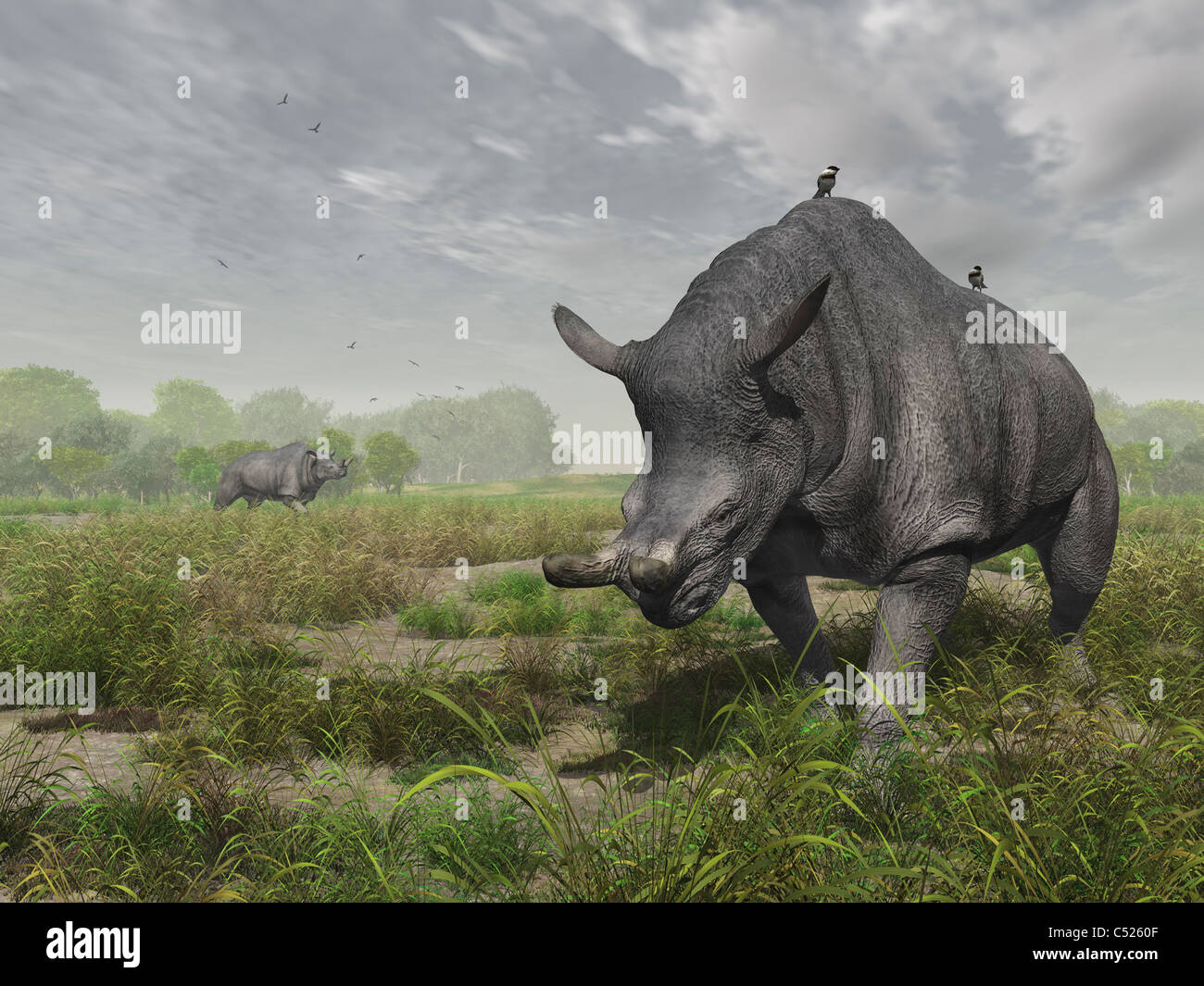 Brontotherium wander the lush late Eocene landscape Stock Photo - Alamy