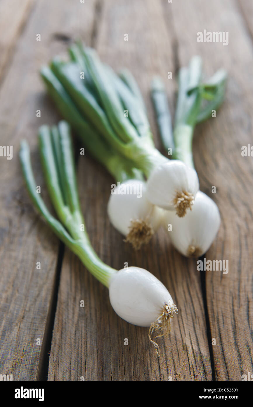 Whole spring onions hi-res stock photography and images - Alamy