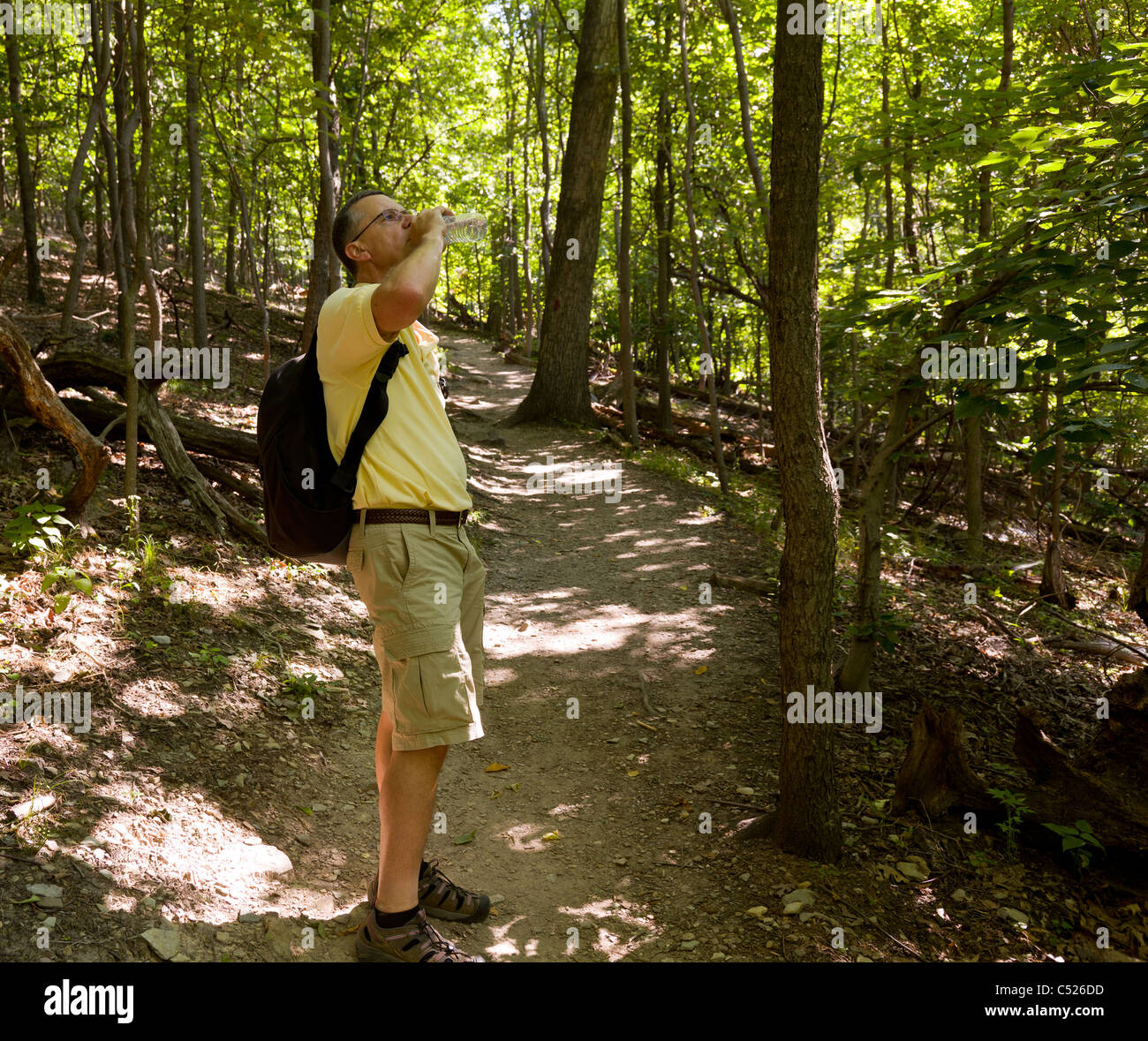 Senior male hiker overlooking the path through forest and drinking from ...
