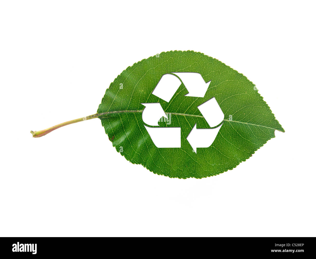 A leaf recycle symbol isolated against a white background Stock Photo ...