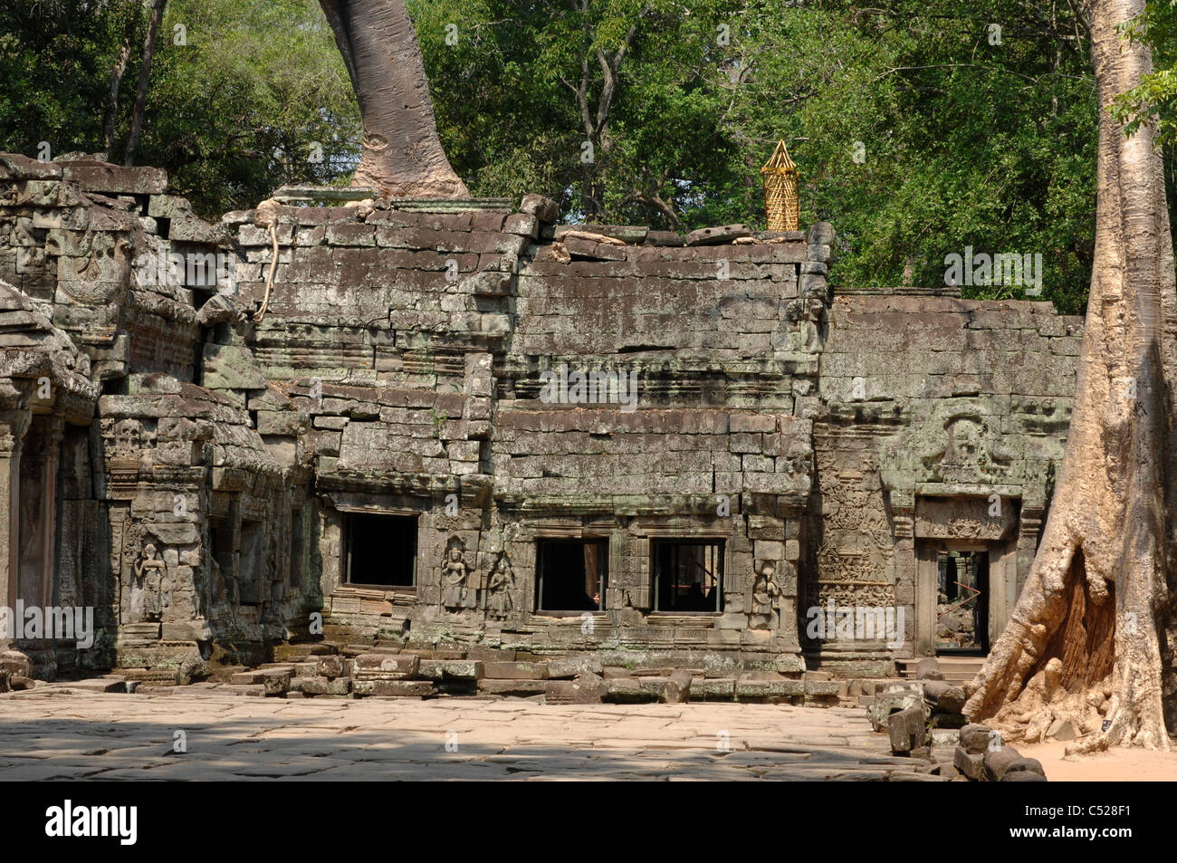 Ta Prohm, Angkor Wat, Cambodia Stock Photo - Alamy