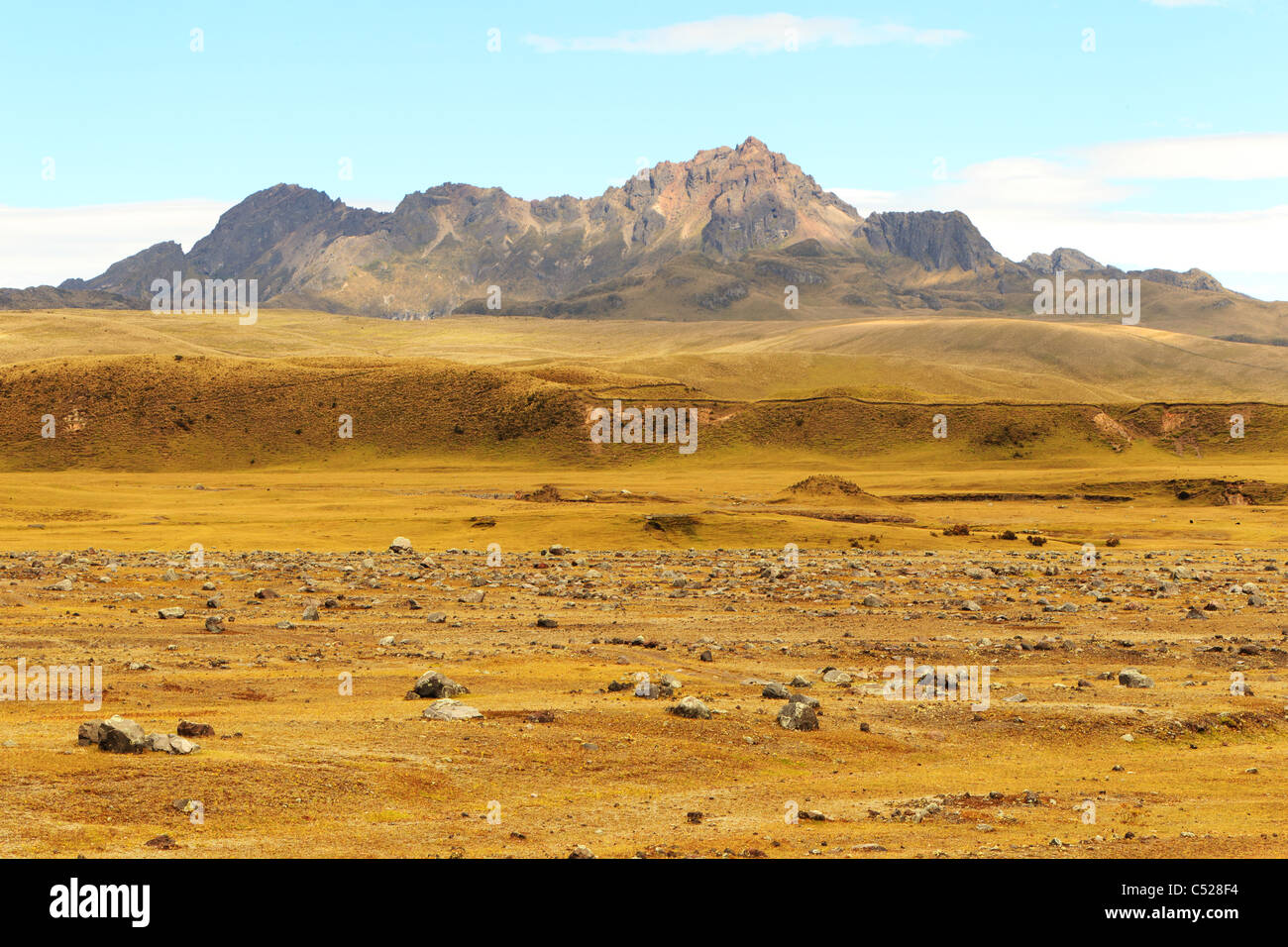 Ruminahui hi-res stock photography and images - Alamy