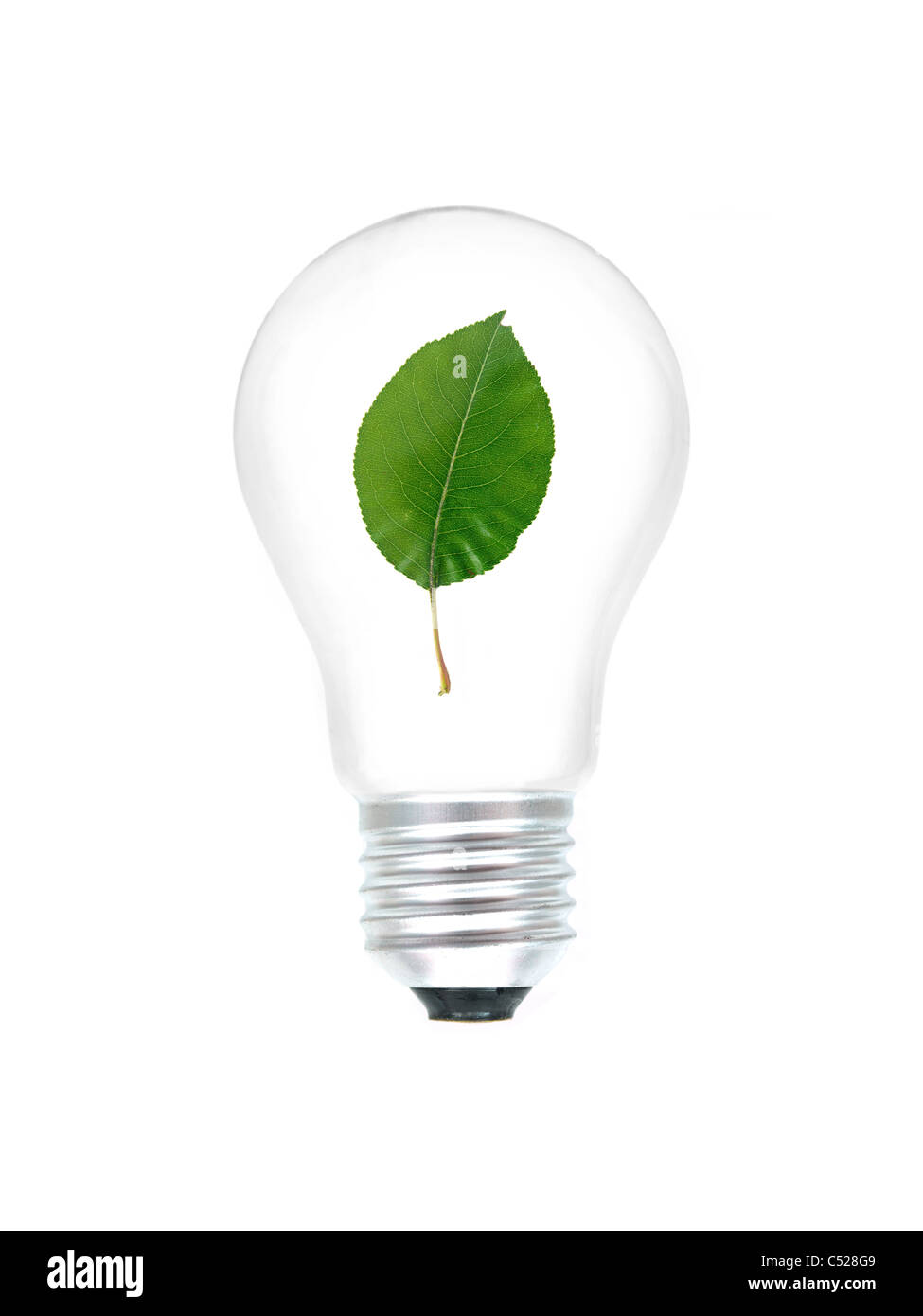 A light bulb with a leaf isolated against a white background Stock ...