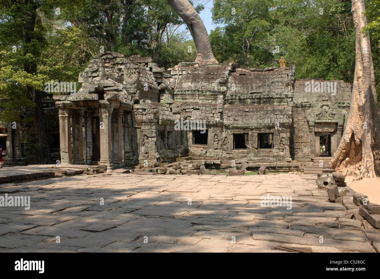 Ta Prohm, Angkor Wat, Cambodia Stock Photo - Alamy