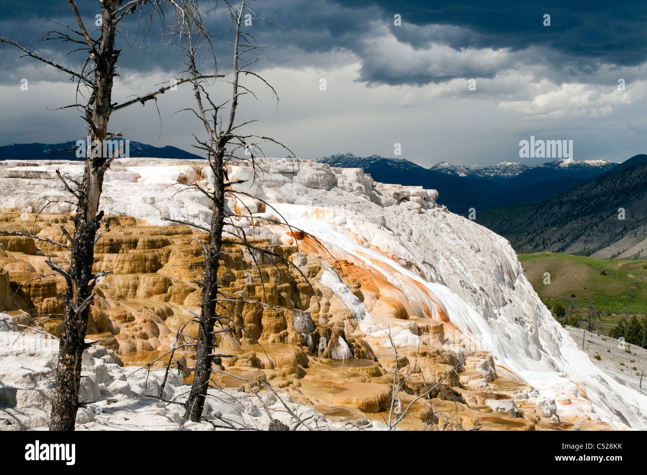 Jupiter Terrace and Canary Spring Stock Photo - Alamy