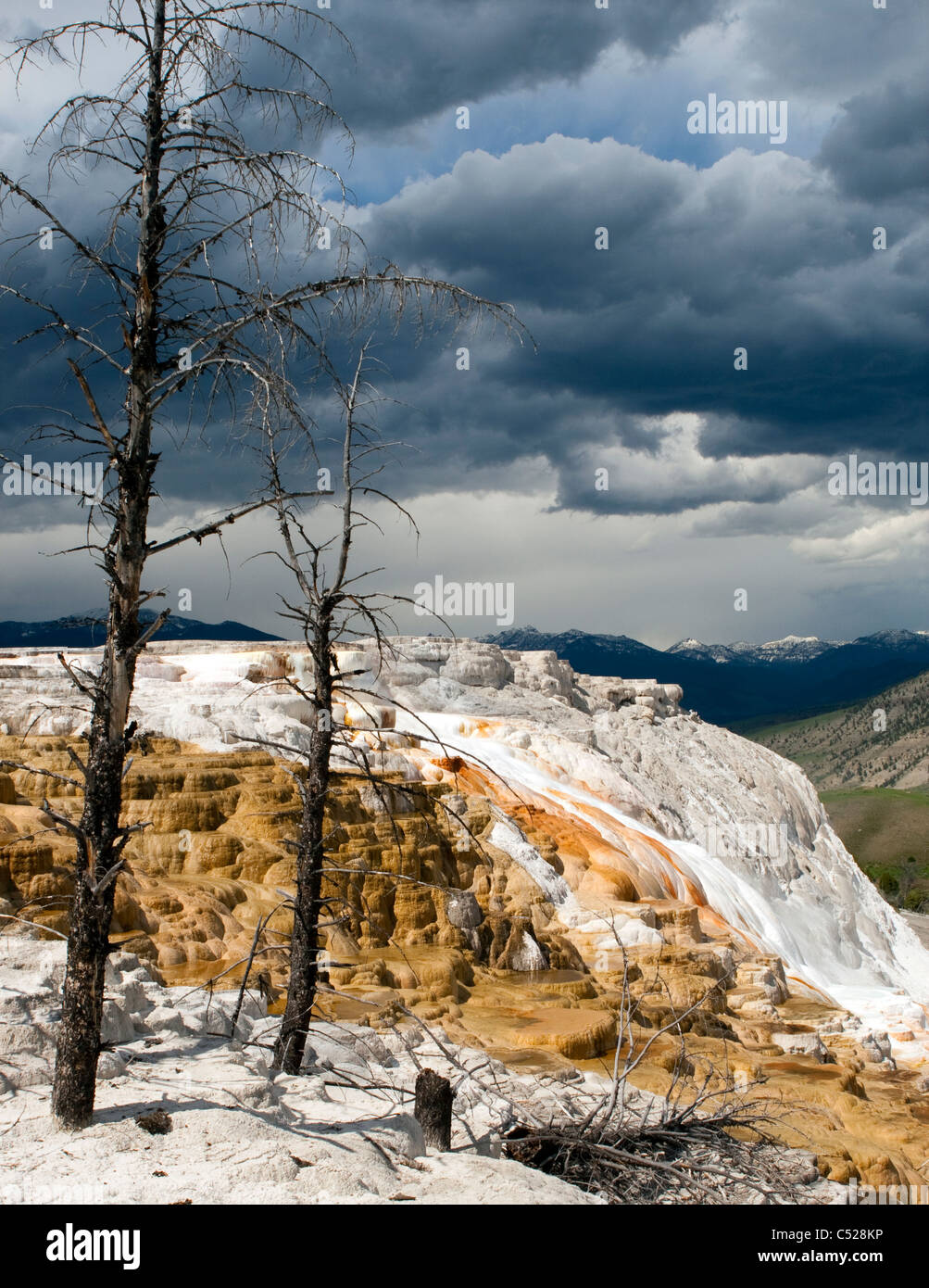 Jupiter terrace yellowstone national park hi-res stock photography and ...