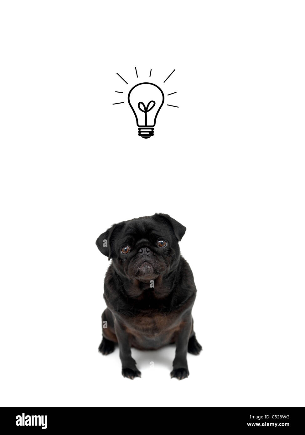 Animal thinking Cut Out Stock Images & Pictures - Alamy