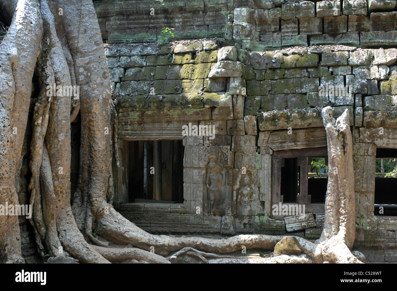 Ta Prohm, Angkor Wat, Cambodia Stock Photo - Alamy