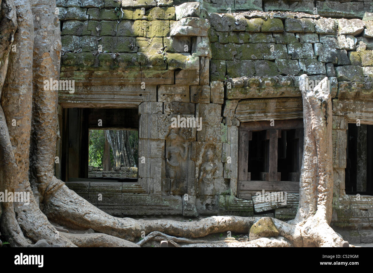 Ta Prohm, Angkor Wat, Cambodia Stock Photo - Alamy
