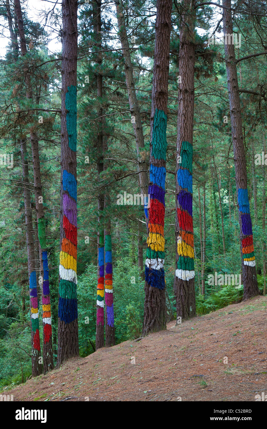 Oma forest basque hi-res stock photography and images - Alamy