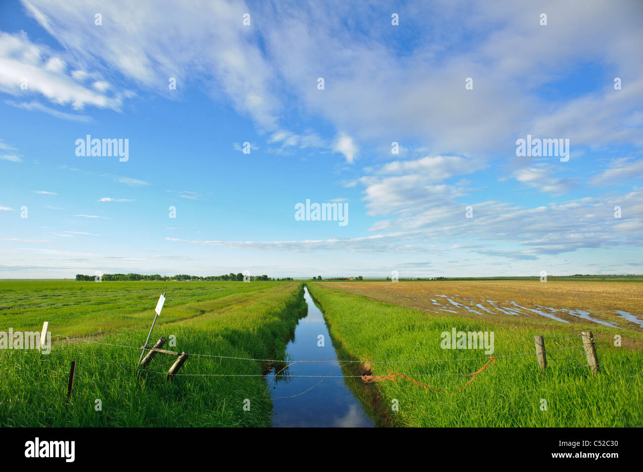 Irrigation canal through wheat fields in Southern Alberta Canada Stock ...