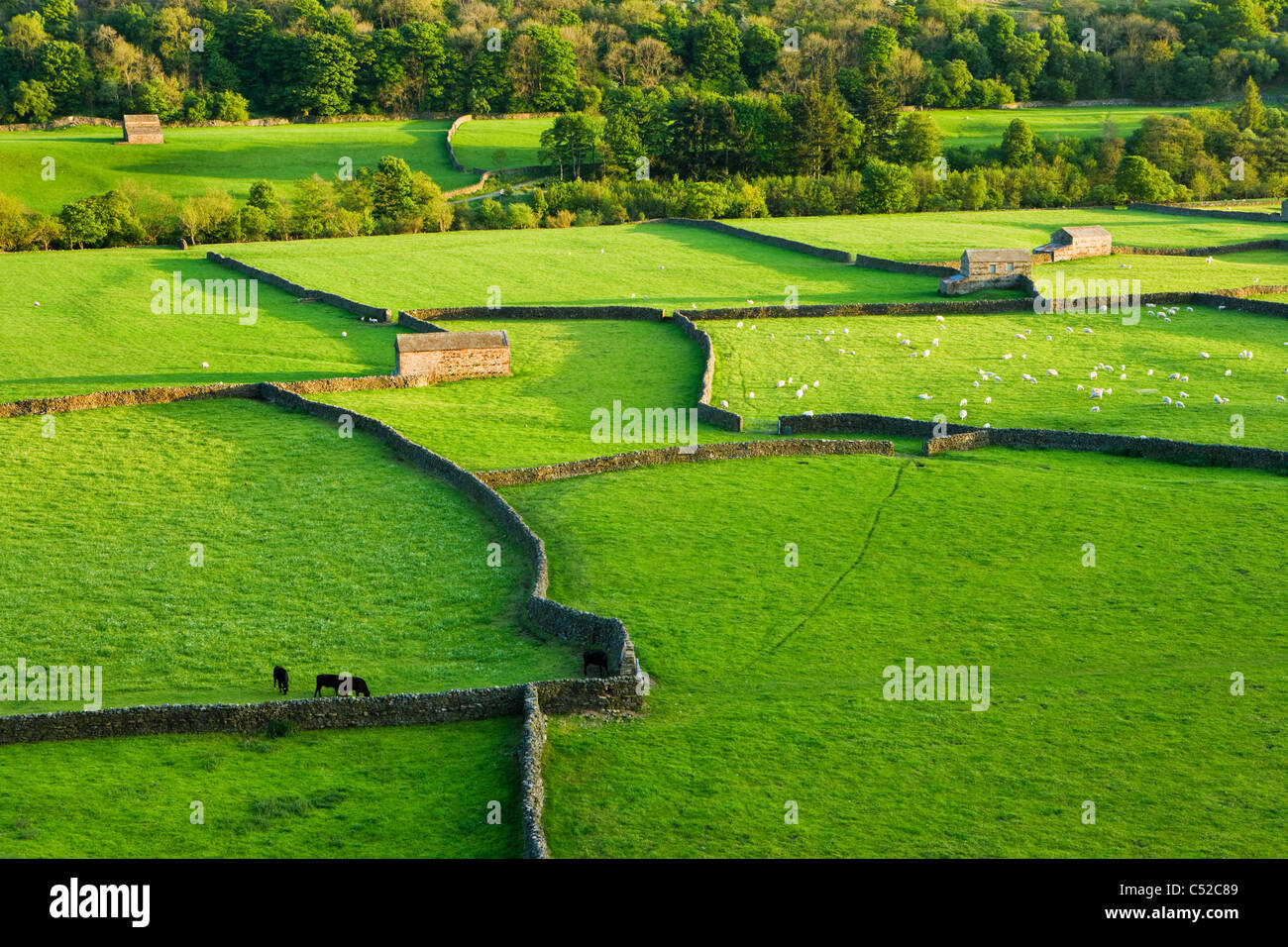 Gunnerside, Swaledale, Yorkshire Dales National Park, UK Stock Photo ...