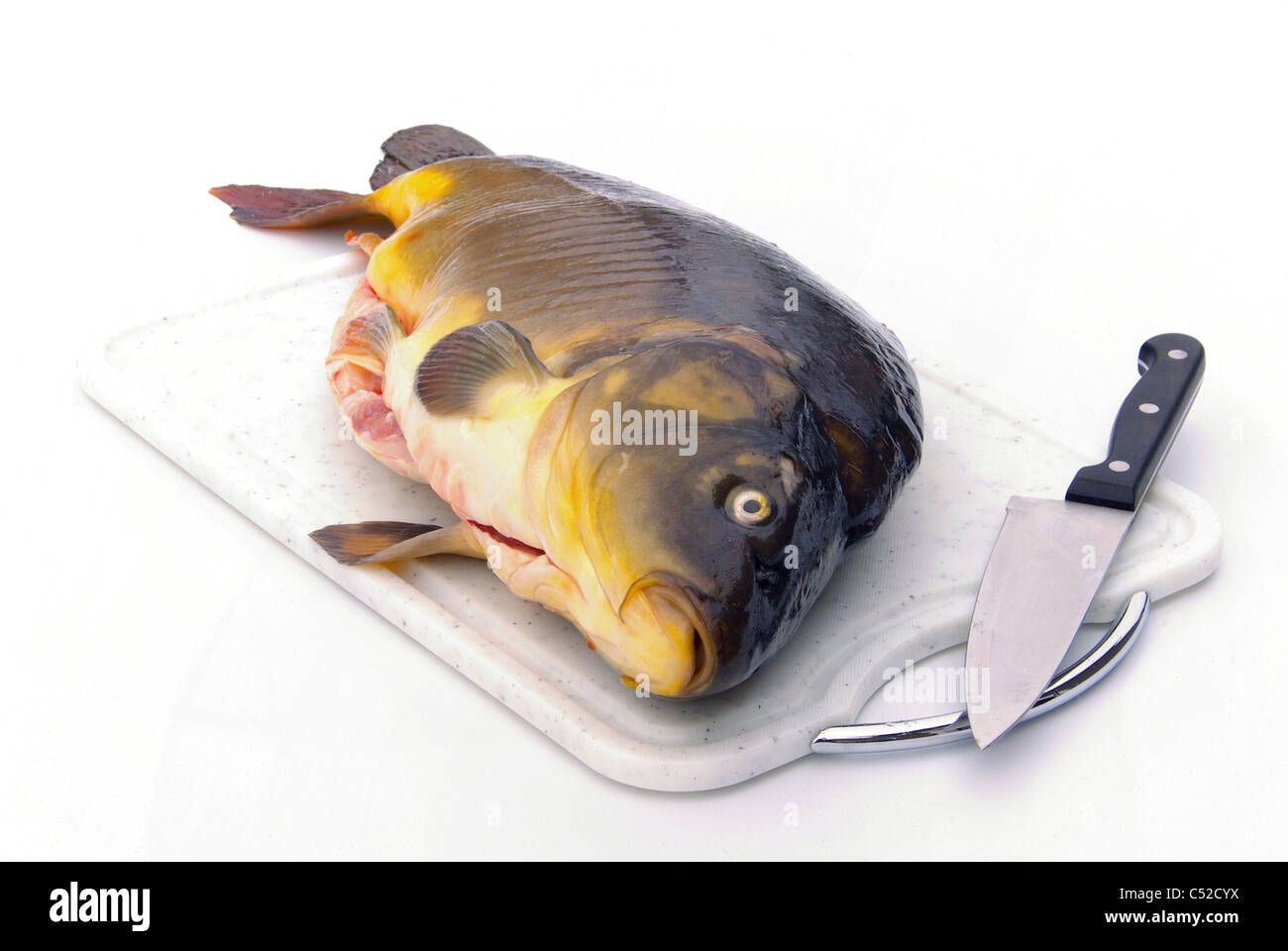 Carp head hi-res stock photography and images - Alamy