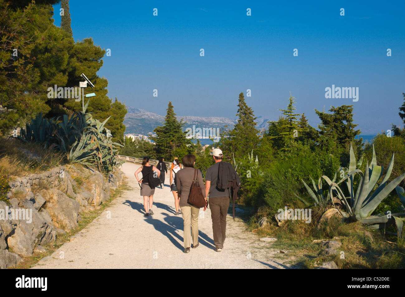 Blue marjan hi-res stock photography and images - Alamy