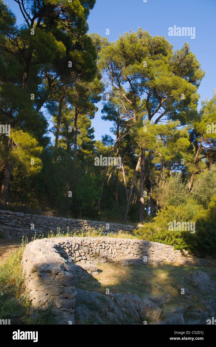 Blue marjan hi-res stock photography and images - Alamy