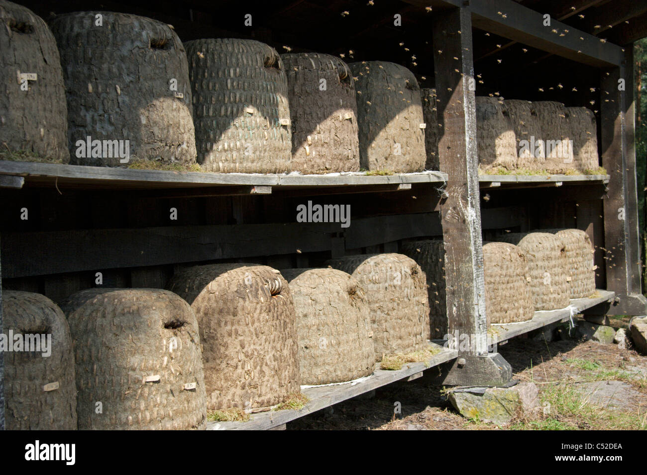 Lots of beehives hi-res stock photography and images - Alamy