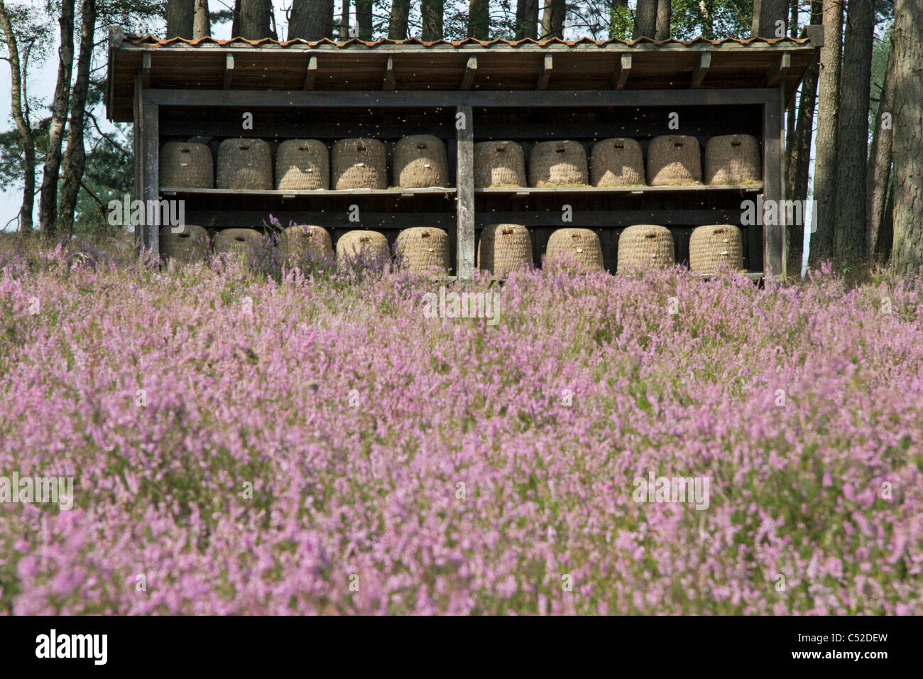 Lots of beehives hi-res stock photography and images - Alamy