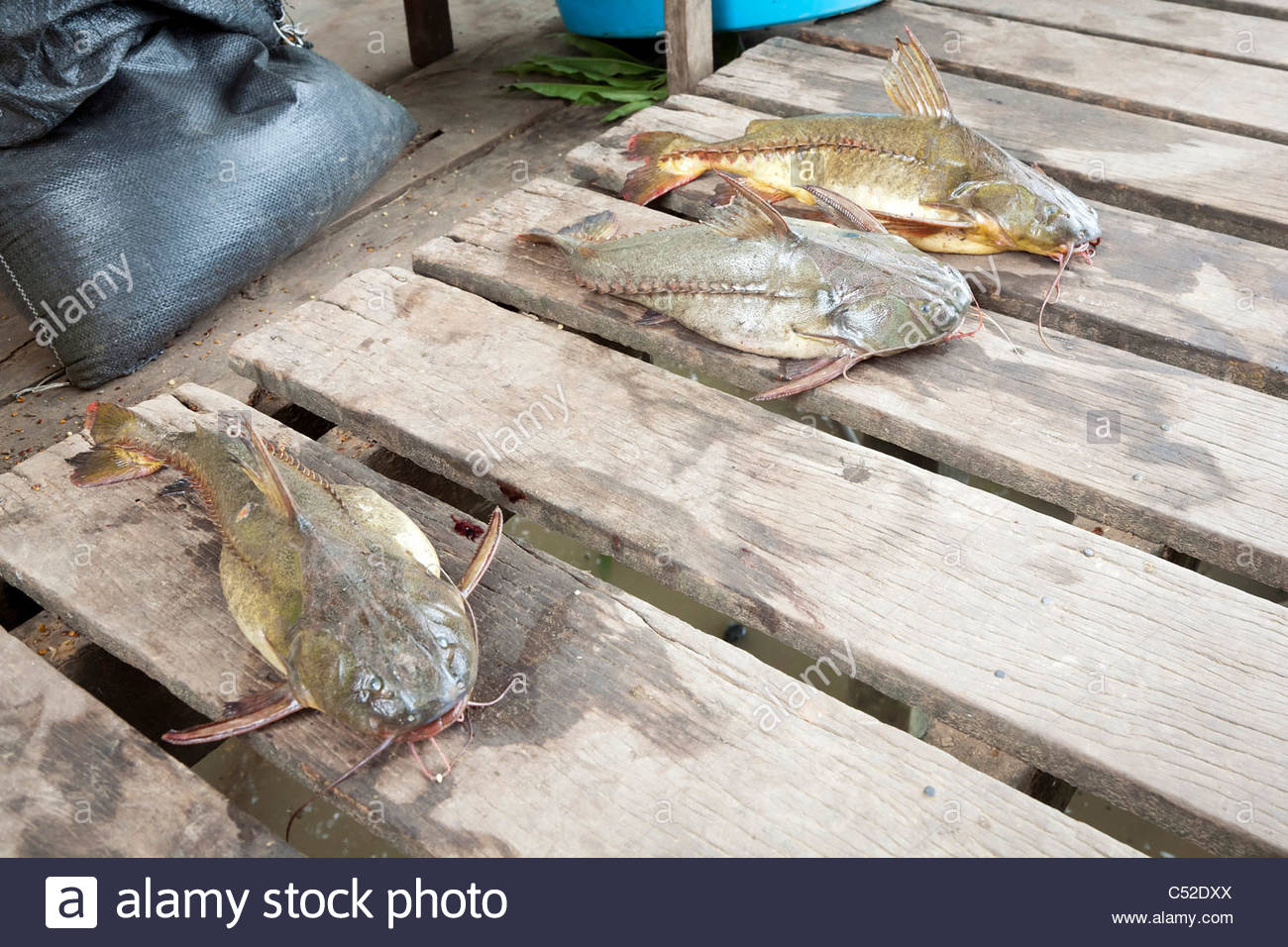 South American Fish Market High Resolution Stock Photography and Images ...