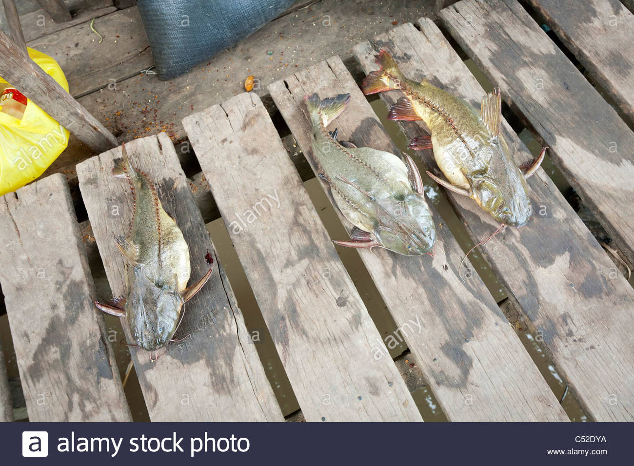 Amazonian Food Stock Photos & Amazonian Food Stock Images - Alamy