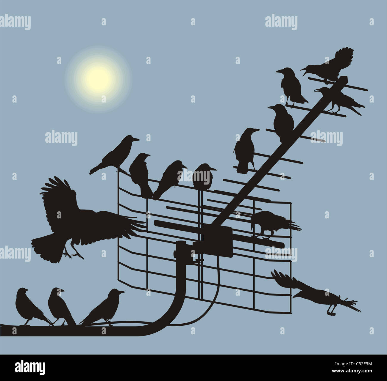 Group of crows hi-res stock photography and images - Alamy