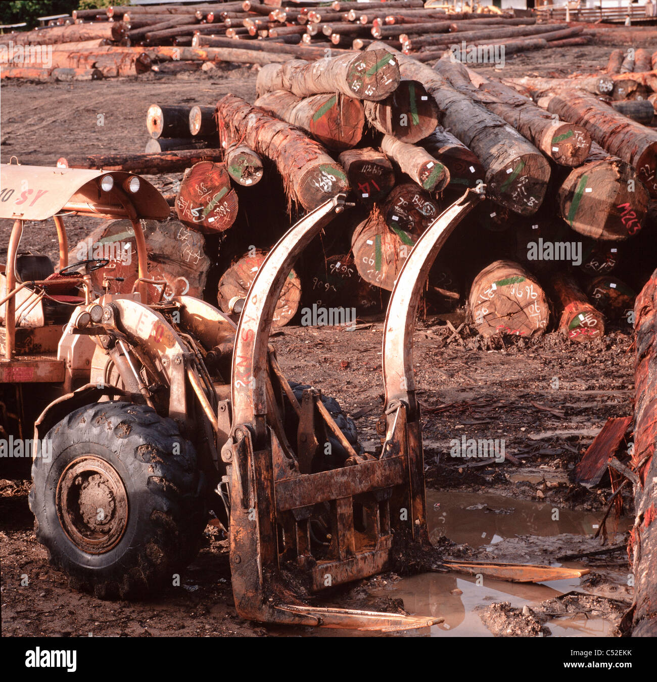 Bulldozer log lifter hi-res stock photography and images - Alamy