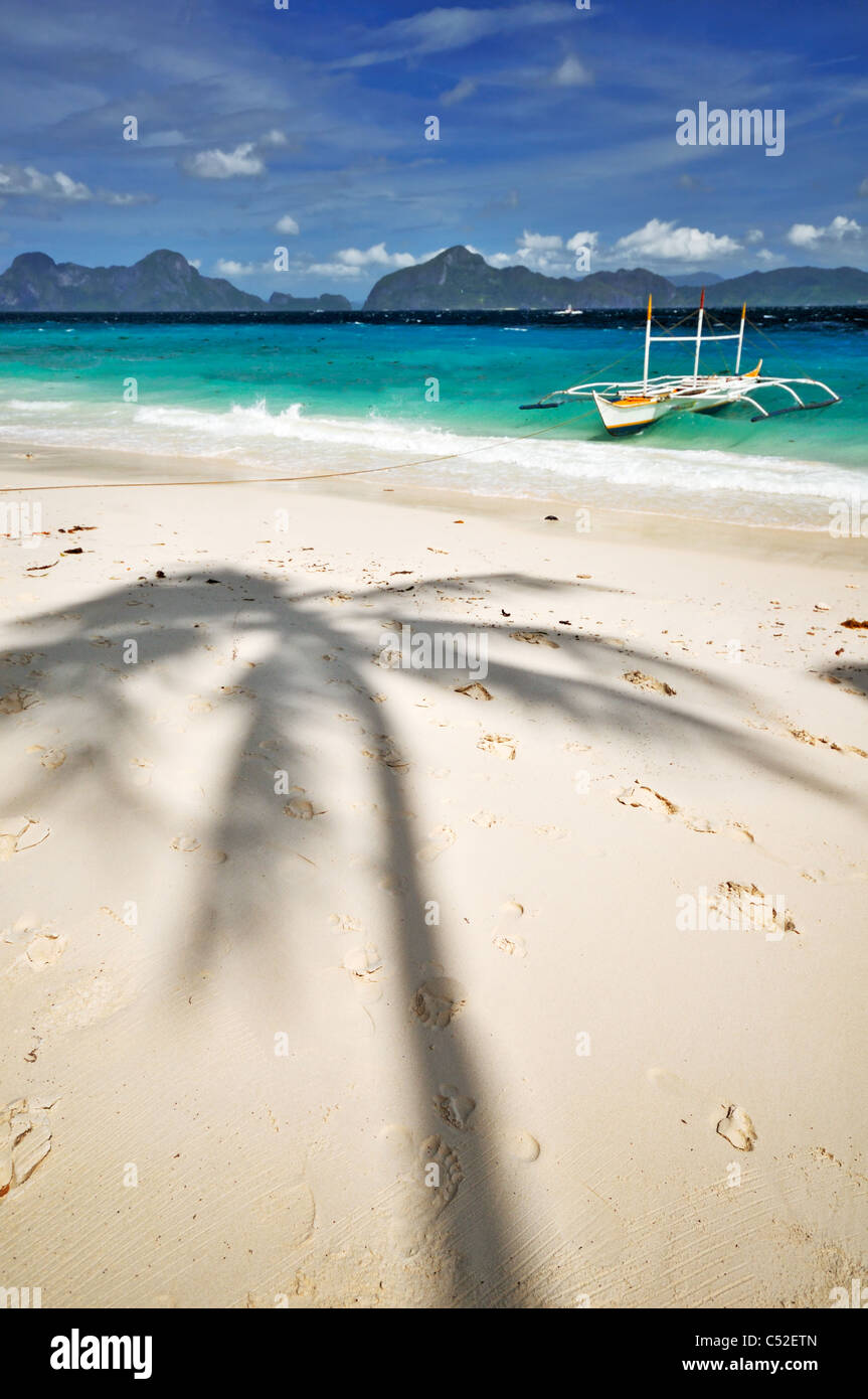 Palm Tree Shade on a Beach Stock Photo - Alamy