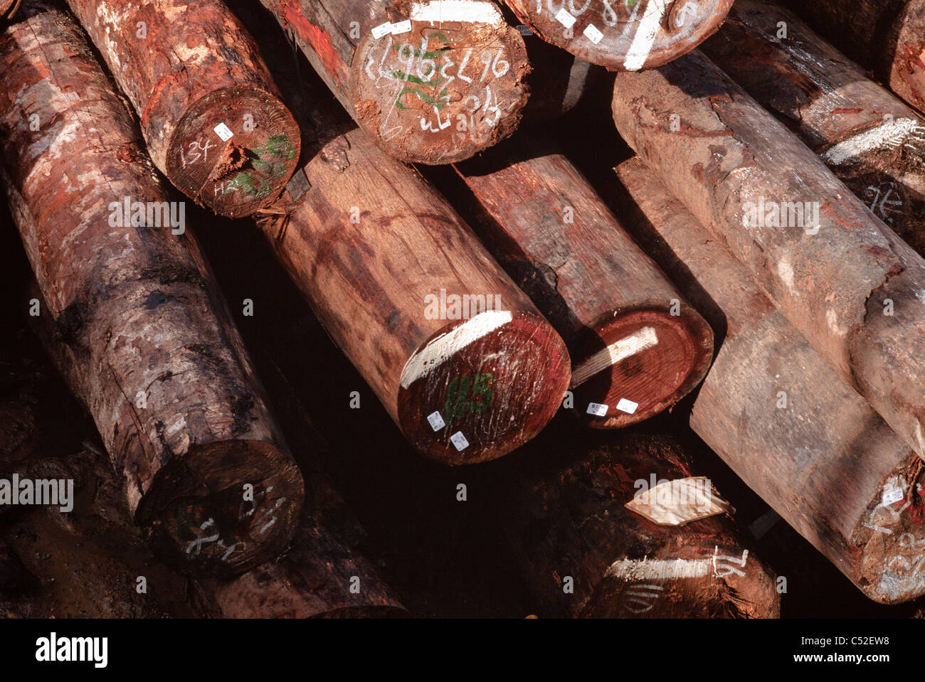 Logging in malaysia hi-res stock photography and images - Alamy