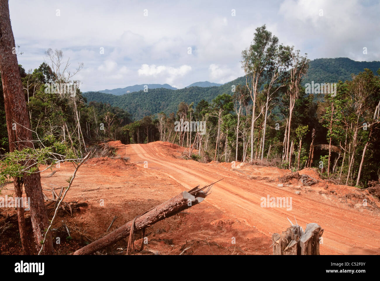 Borneo deforestation hi-res stock photography and images - Alamy