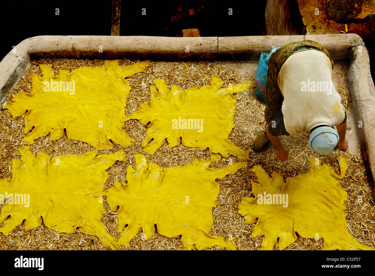 man lays out dyed skins to dry Stock Photo - Alamy