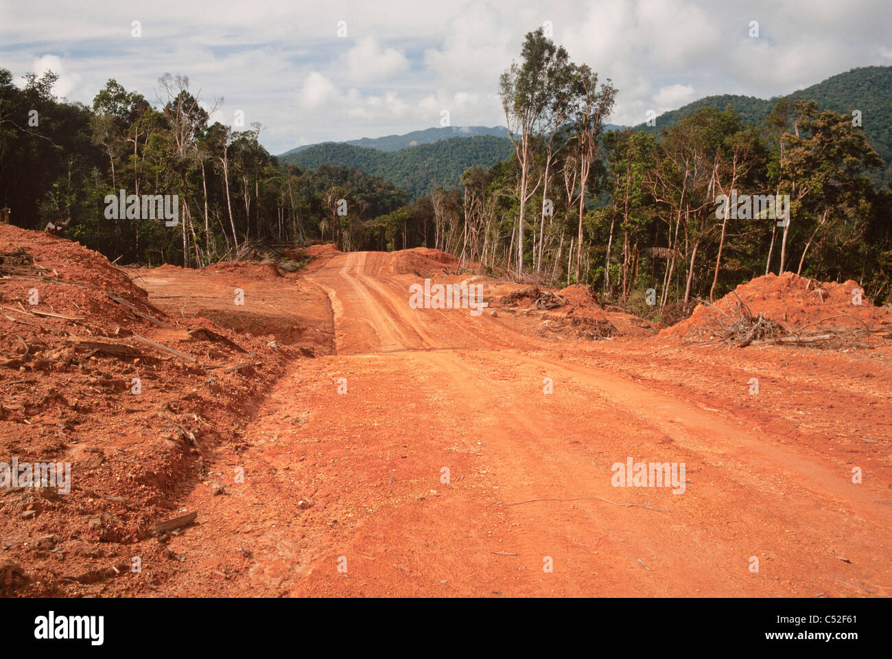 Sarawak deforestation hi-res stock photography and images - Alamy
