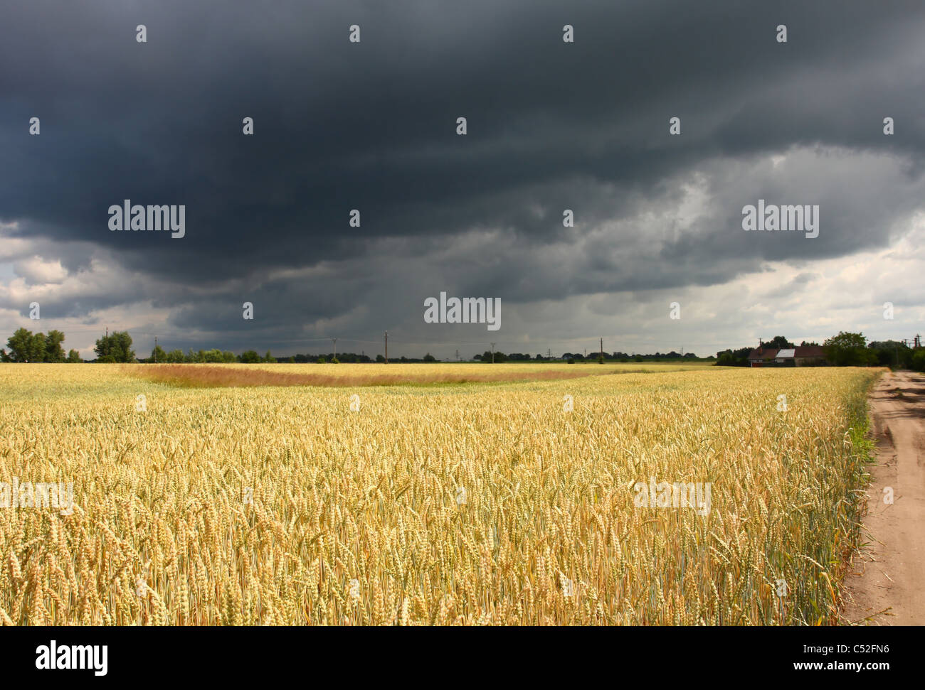 Wheat field storm clouds hi-res stock photography and images - Alamy