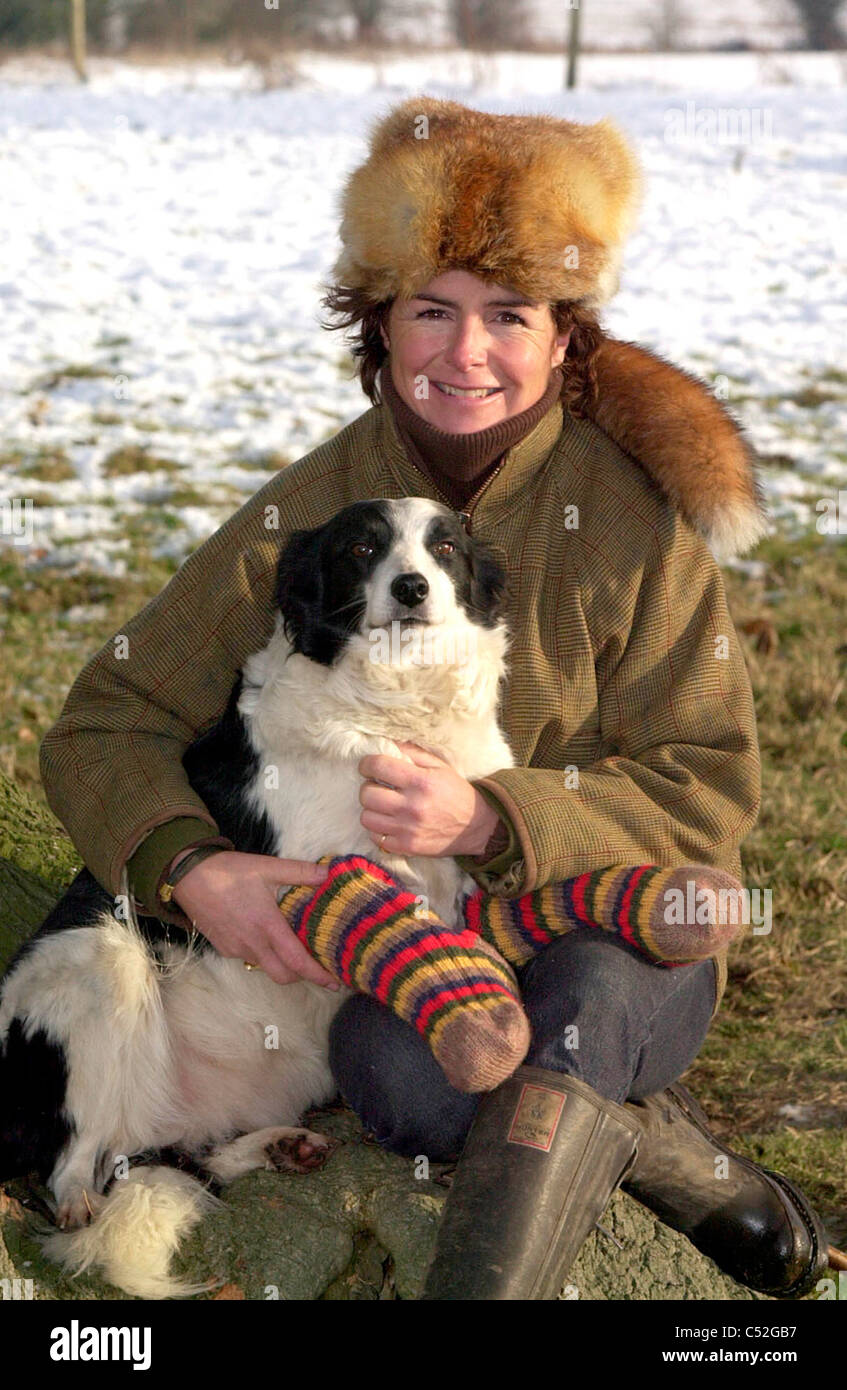 Katie Cropper with border collie cut pad pads protection sock. farmer ...