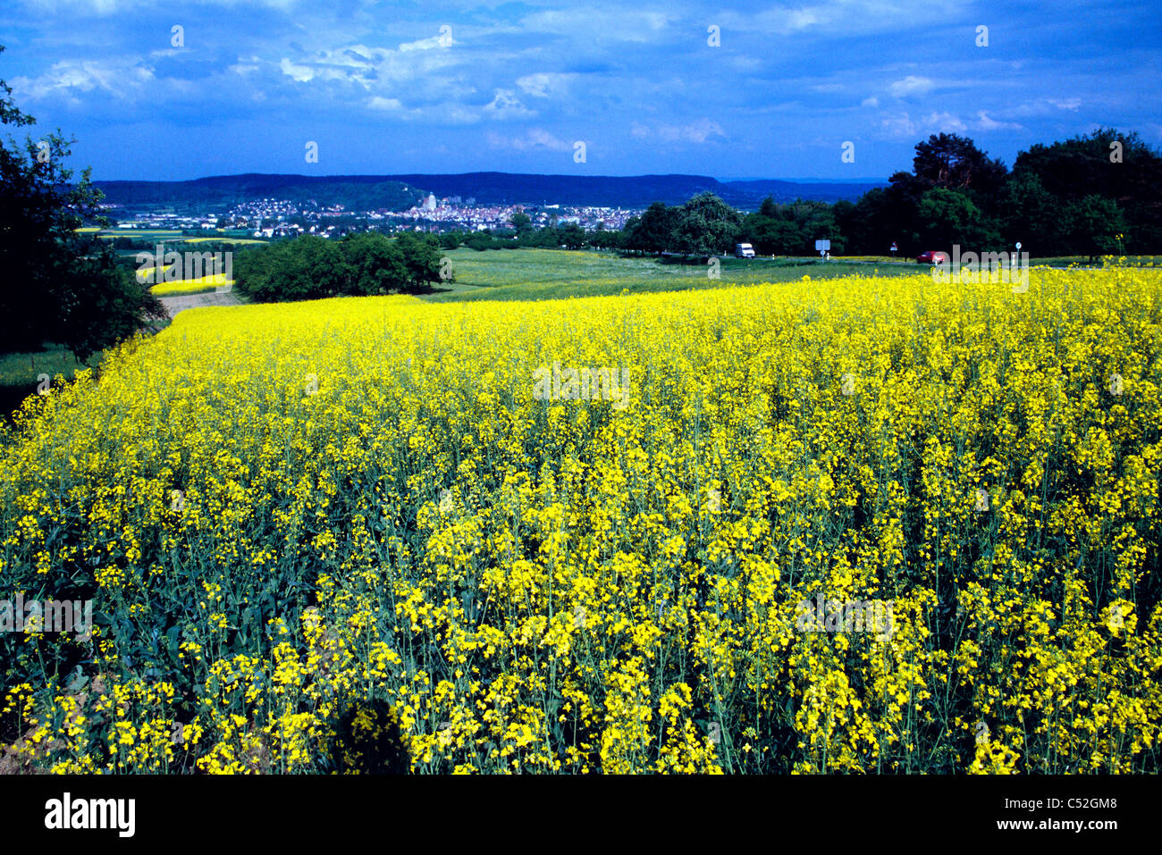 German flower hi-res stock photography and images - Alamy