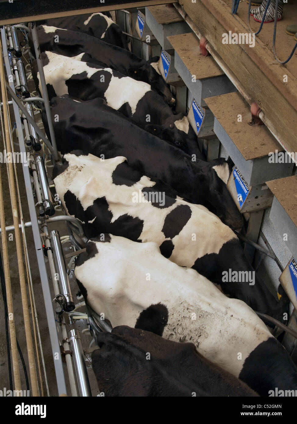 Milked hi-res stock photography and images - Alamy