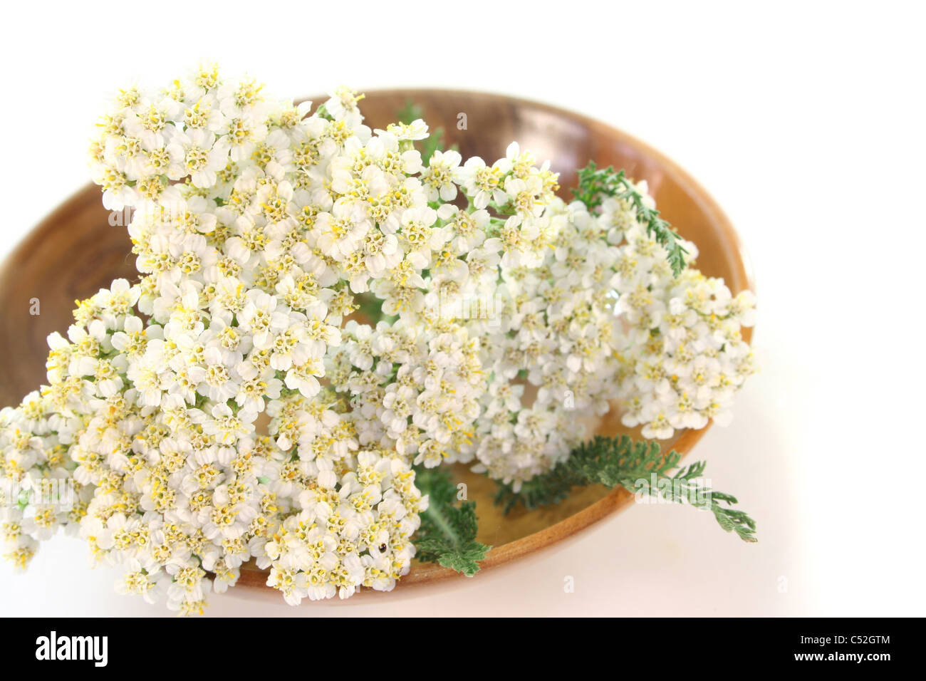 Yarrow in a wooden bowl on white background Stock Photo - Alamy