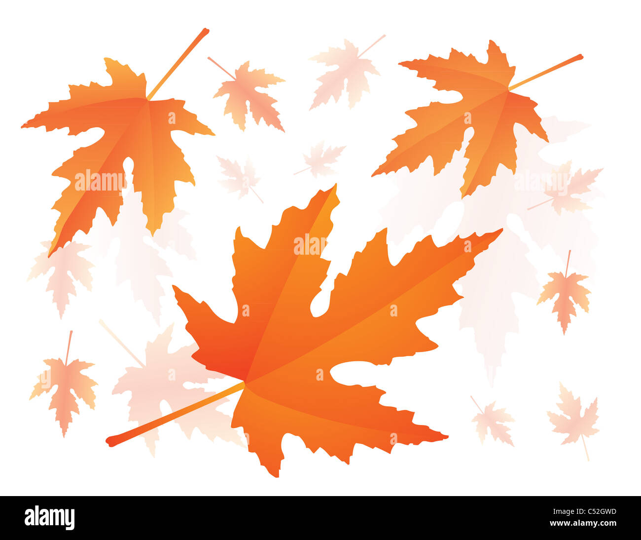red autumnal falling maple leaves illustration Stock Photo - Alamy