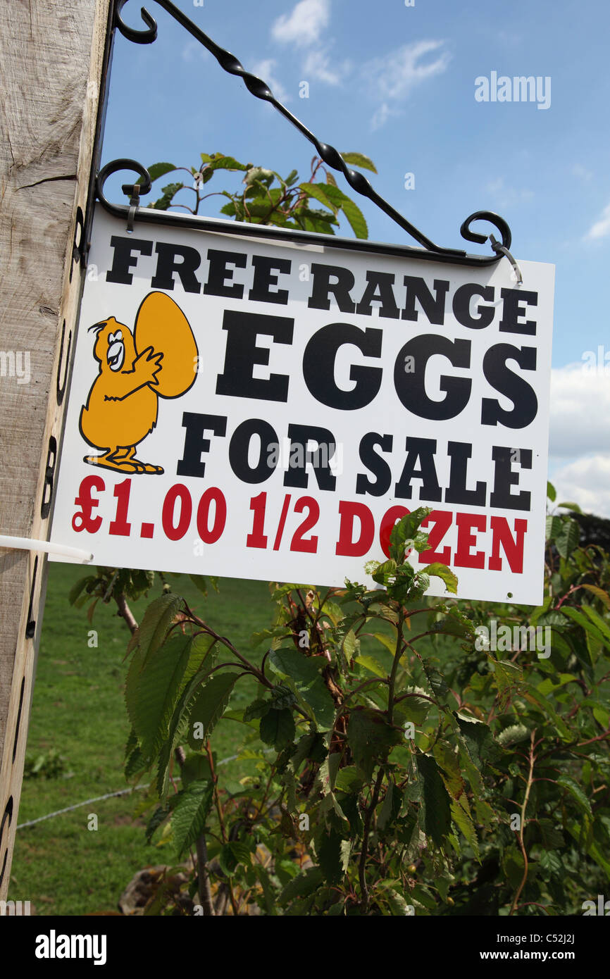 Free range eggs for sale on a farm in Derbyshire, England, U.K Stock ...