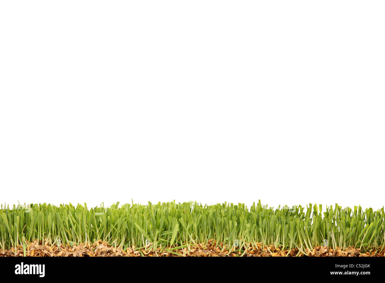 A studio shot of a green grass Stock Photo - Alamy